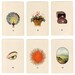 TEUILA FORTUNE TELLING Cards, Complete Set. Made 1923, Antique - Etsy