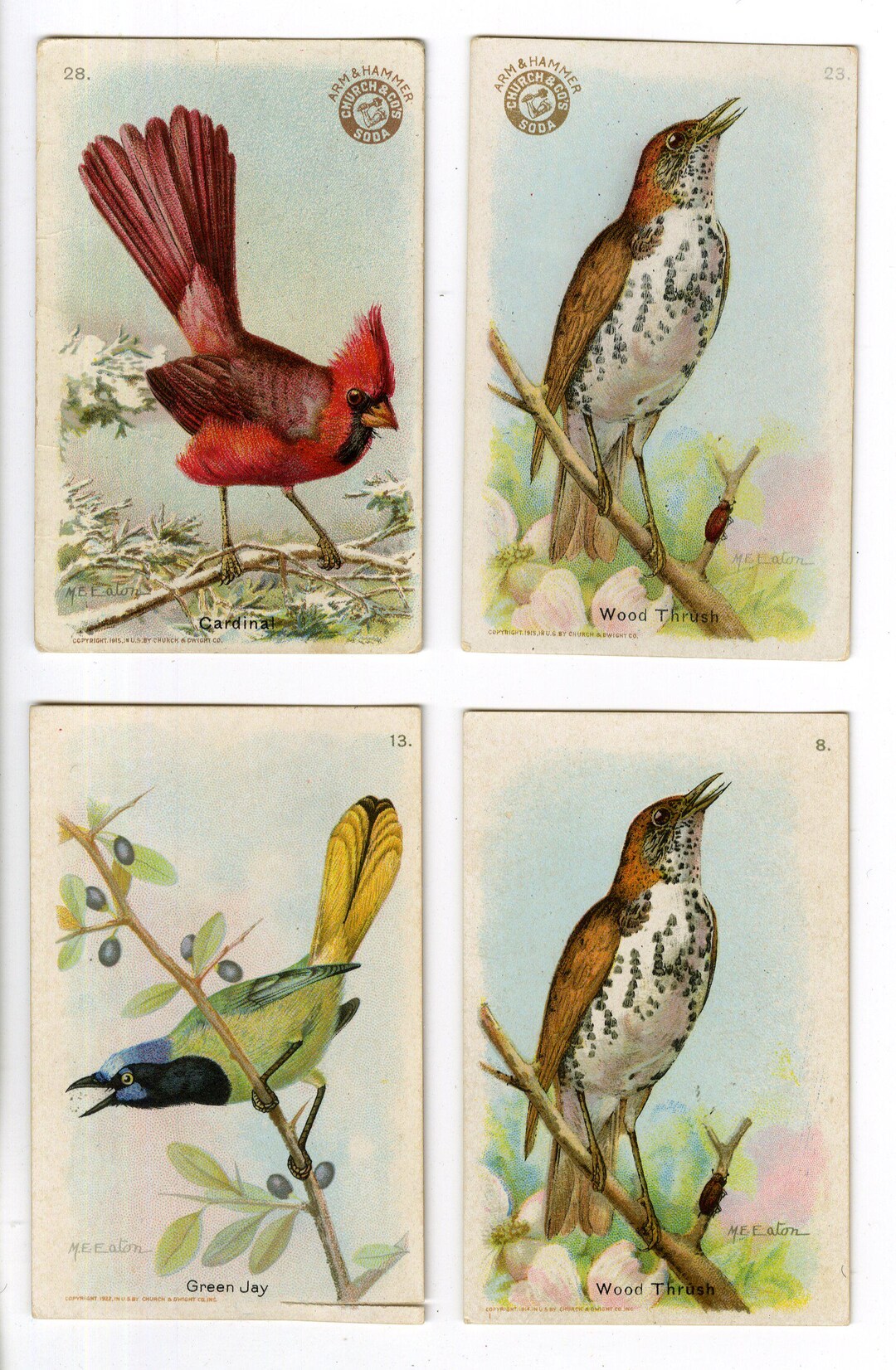 20 BIRD TRADE CARDS. Circa 1920, Original & Vintage - Etsy