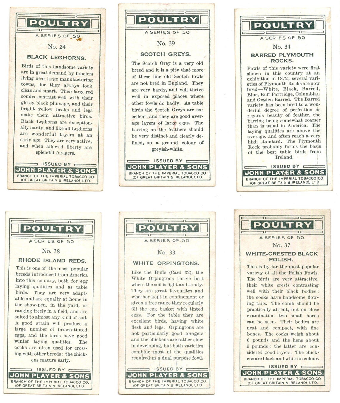 10 BRITISH POULTRY Poultry Trade Cards. Circa 1930, Vintage - Etsy