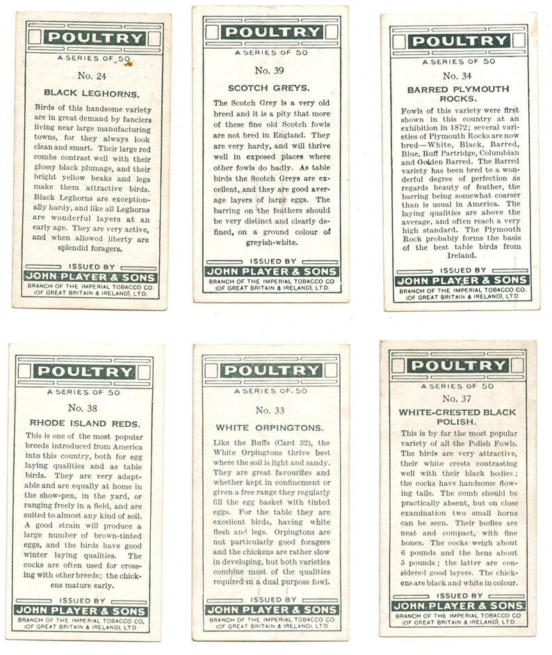 10 BRITISH POULTRY Poultry Trade Cards. Circa 1930, Vintage - Etsy