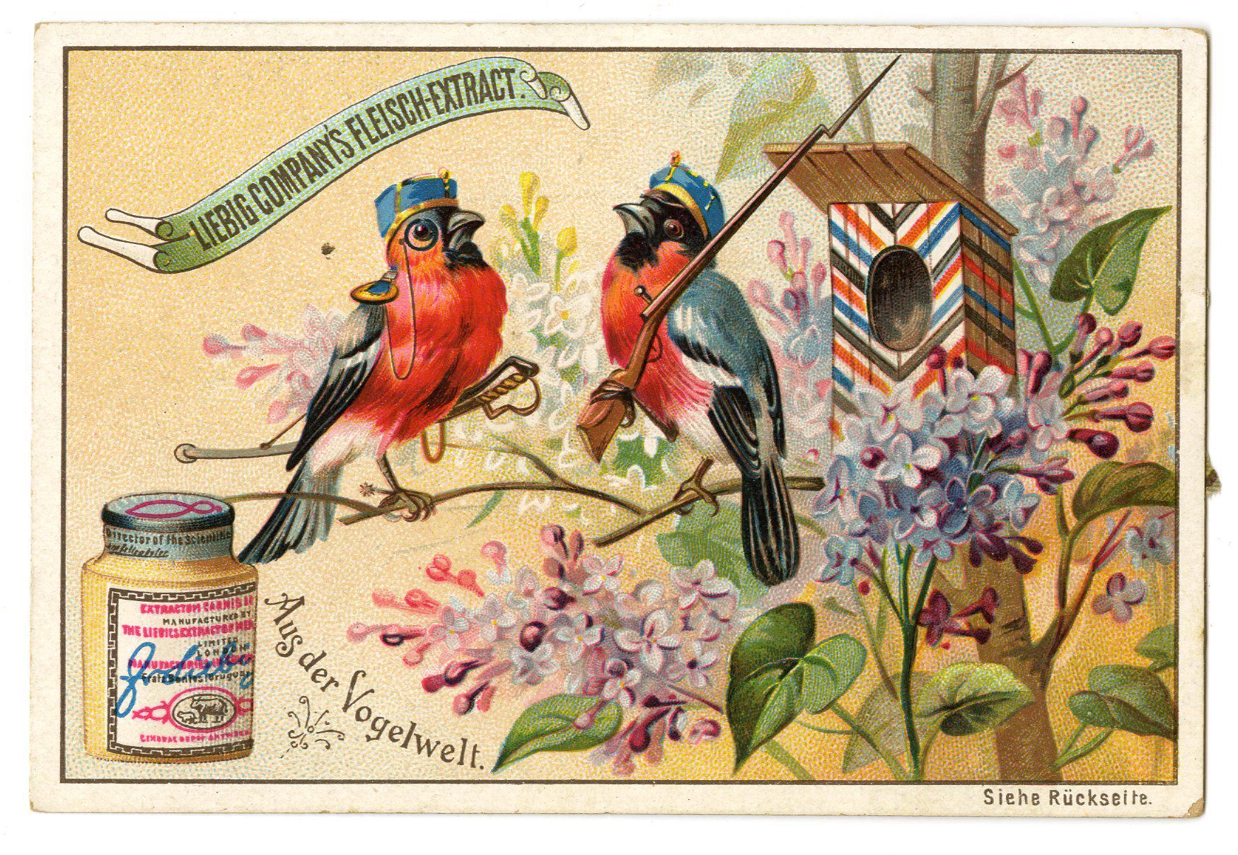 SET of 6 TRADE CARDS. Anthropomorphic Birds. Circa 1920, Original ...