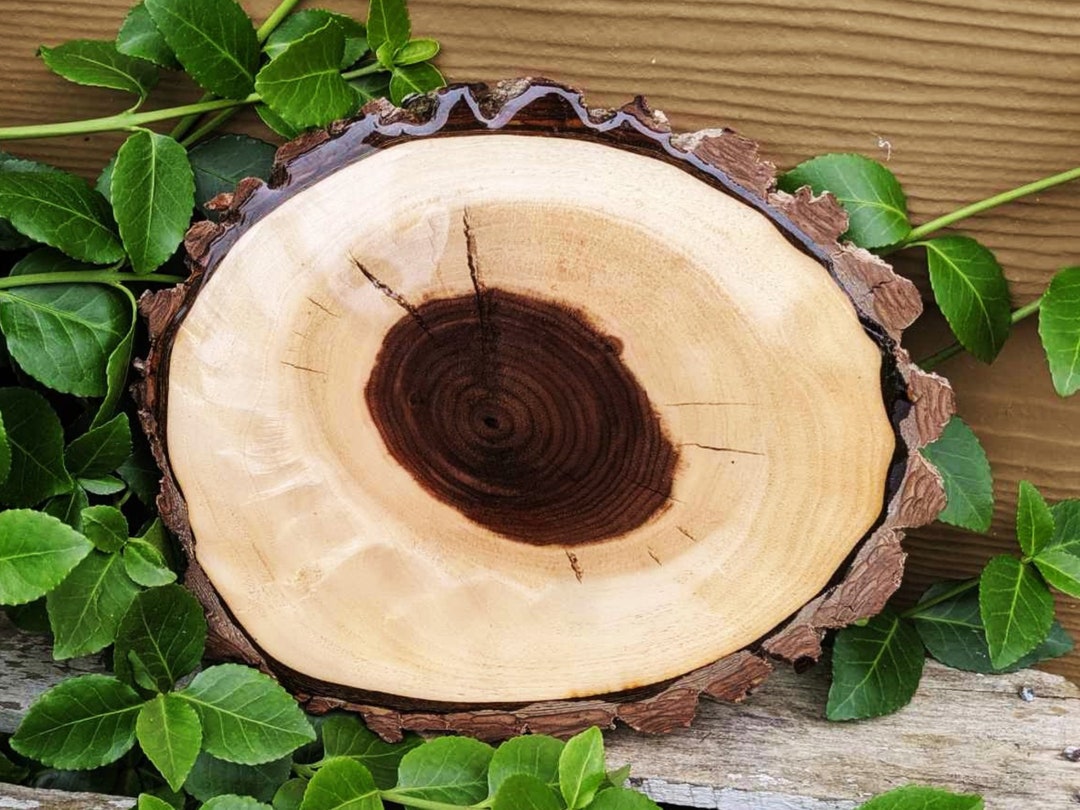 Black Walnut Centerpiece, Small Wooden Table Centerpiece, Wedding Table ...