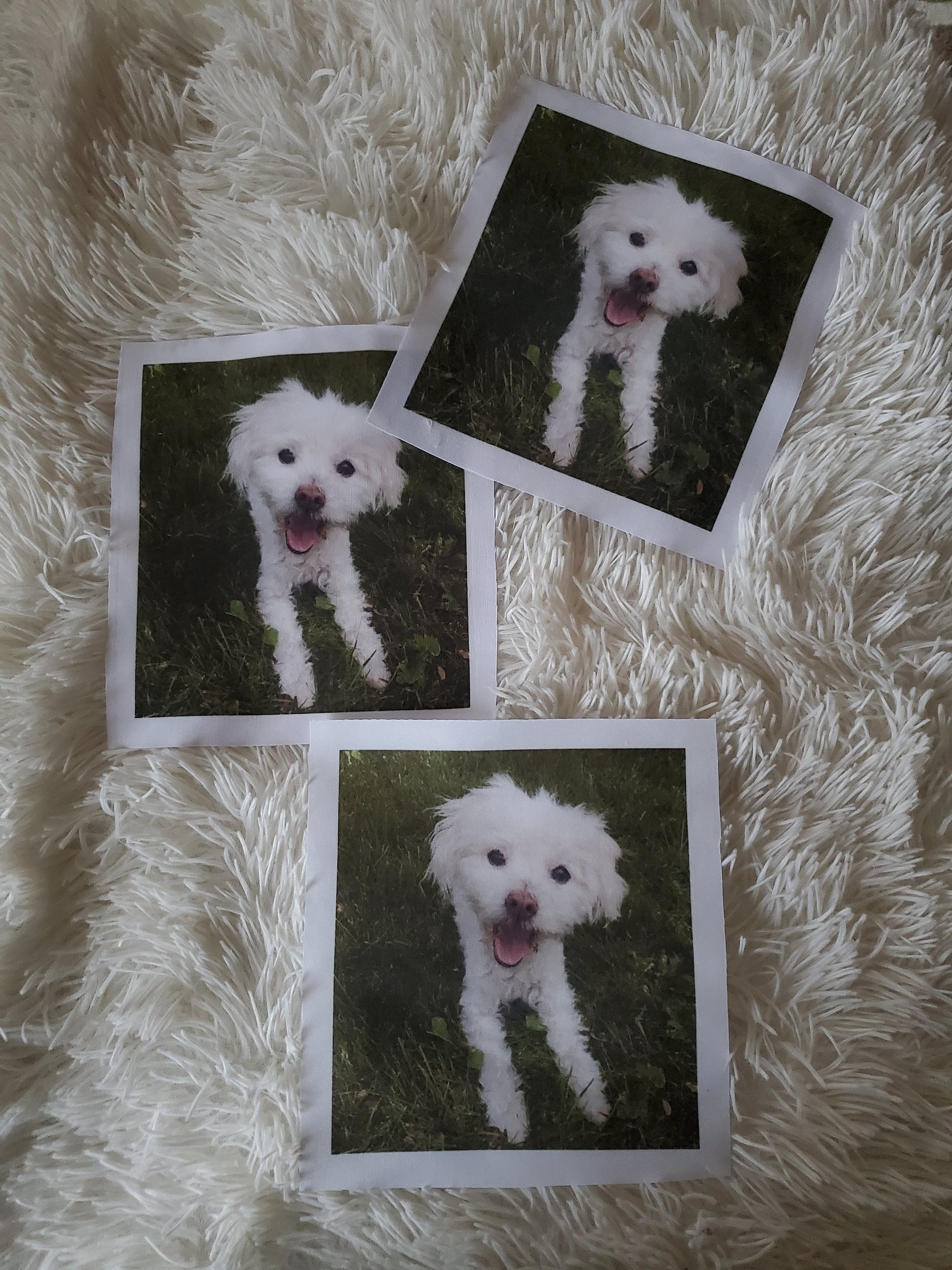 Custom Photo Fabric Panel, Print Your Photo on Fabric, Your Text on ...