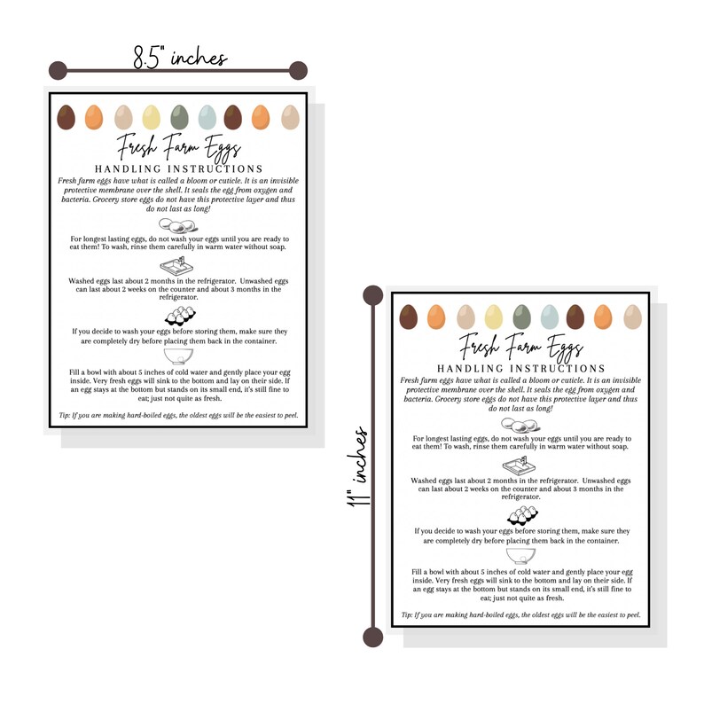 Fresh Farm Eggs Handling Instructions Multiples Sheet Print - Etsy