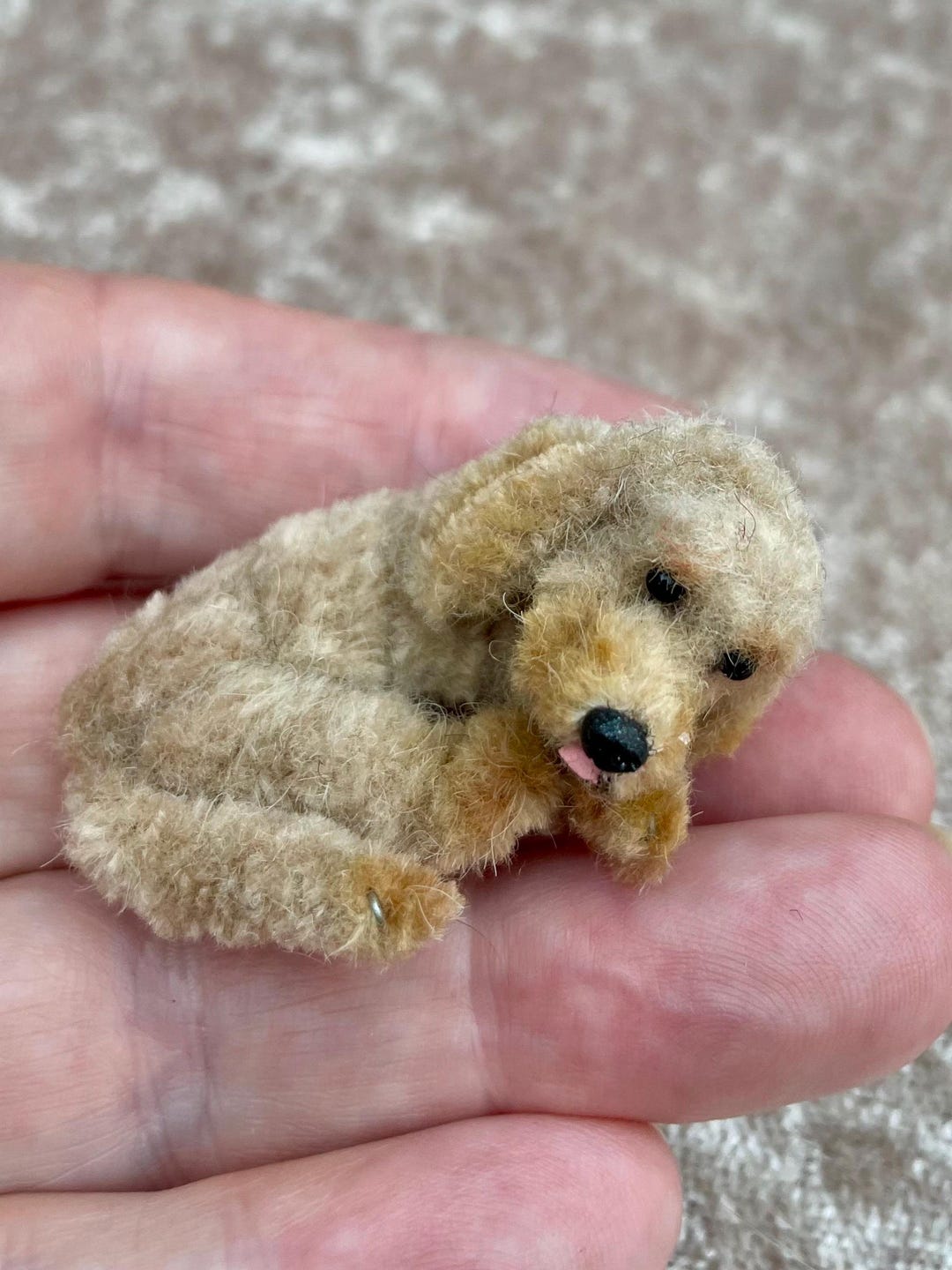 Realistic 1/12th Scale Cockapoo Dog Dolls House or Miniature ...