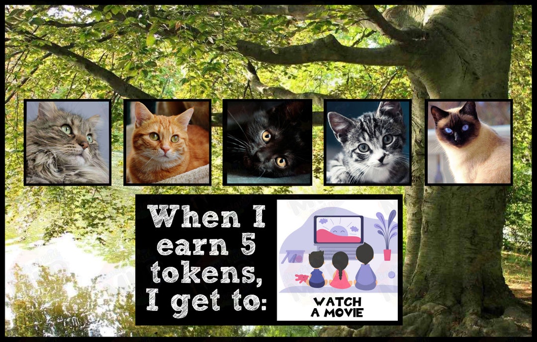Cat Themed Behavior Chart/reward Chart/token Board Quick Shipping - Etsy