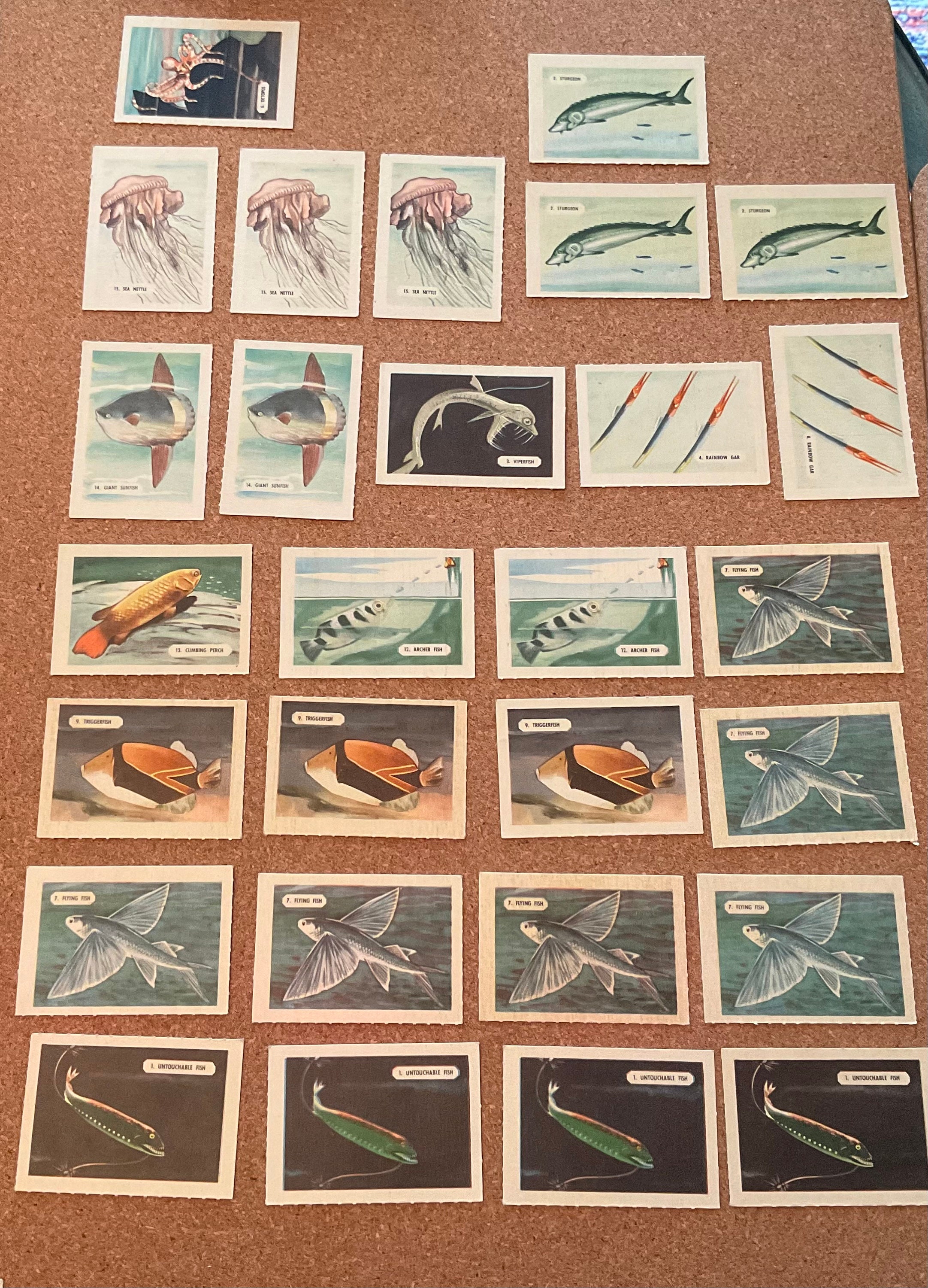 28 Kelloggs All Wheat Denizens of the Deep Cards 1965 - Etsy