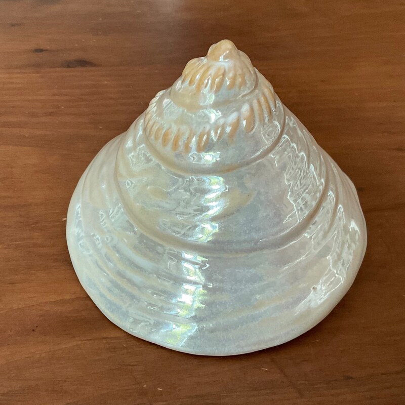 Trochus Shell - Etsy