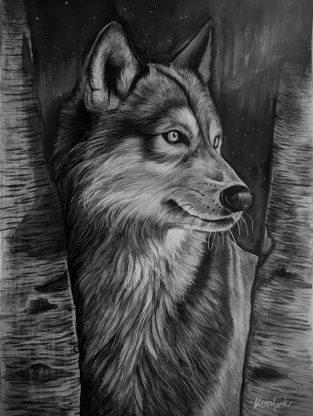 A Spirit Wolf Wolf Drawing Wolf Art Lone Wolf Artwork Hang Ready ...
