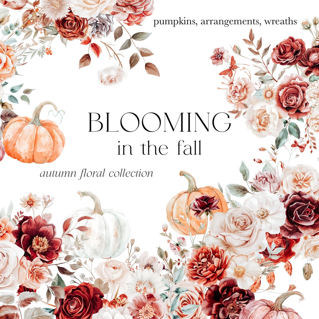 Fall Floral Clipart - Autumn Florals - Pumpkins & Flowers - Pumpkin ...