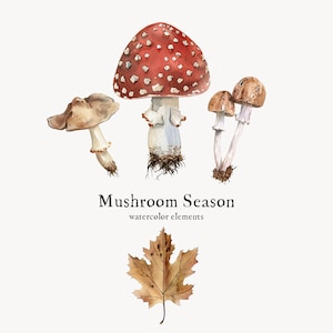 Watercolor Mushrooms Clipart - Wild Mushrooms - Fall Watercolor Clipart ...