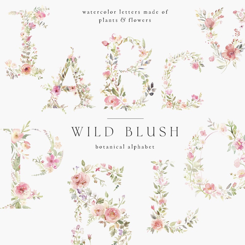 Wild Flowers Alphabet Wild Flowers Letters Blush Floral Alphabet Floral ...