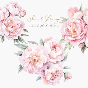 Watercolor Dusty Pink Peony Clipart - Peony Clipart - Watercolor ...