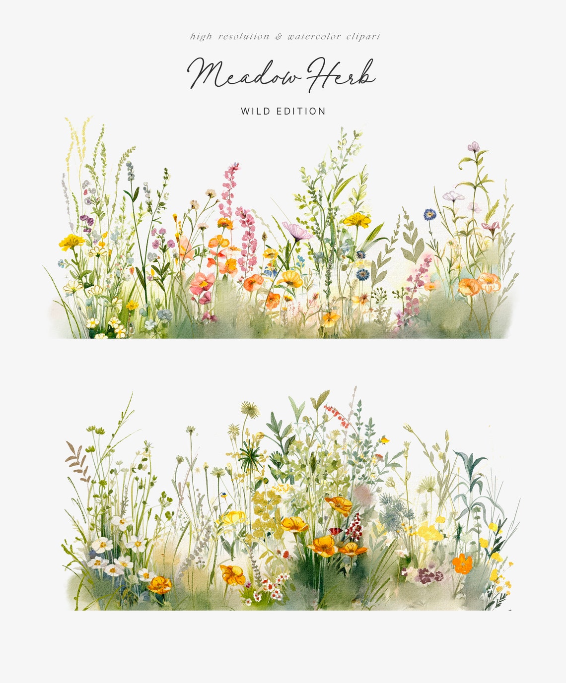 Wild Meadow Flowers Clipart - Watercolor Wild Flowers - Wild Flowers ...
