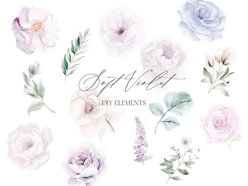 Watercolor Soft Violet and Lavender Floral Collection Violet Flowers ...