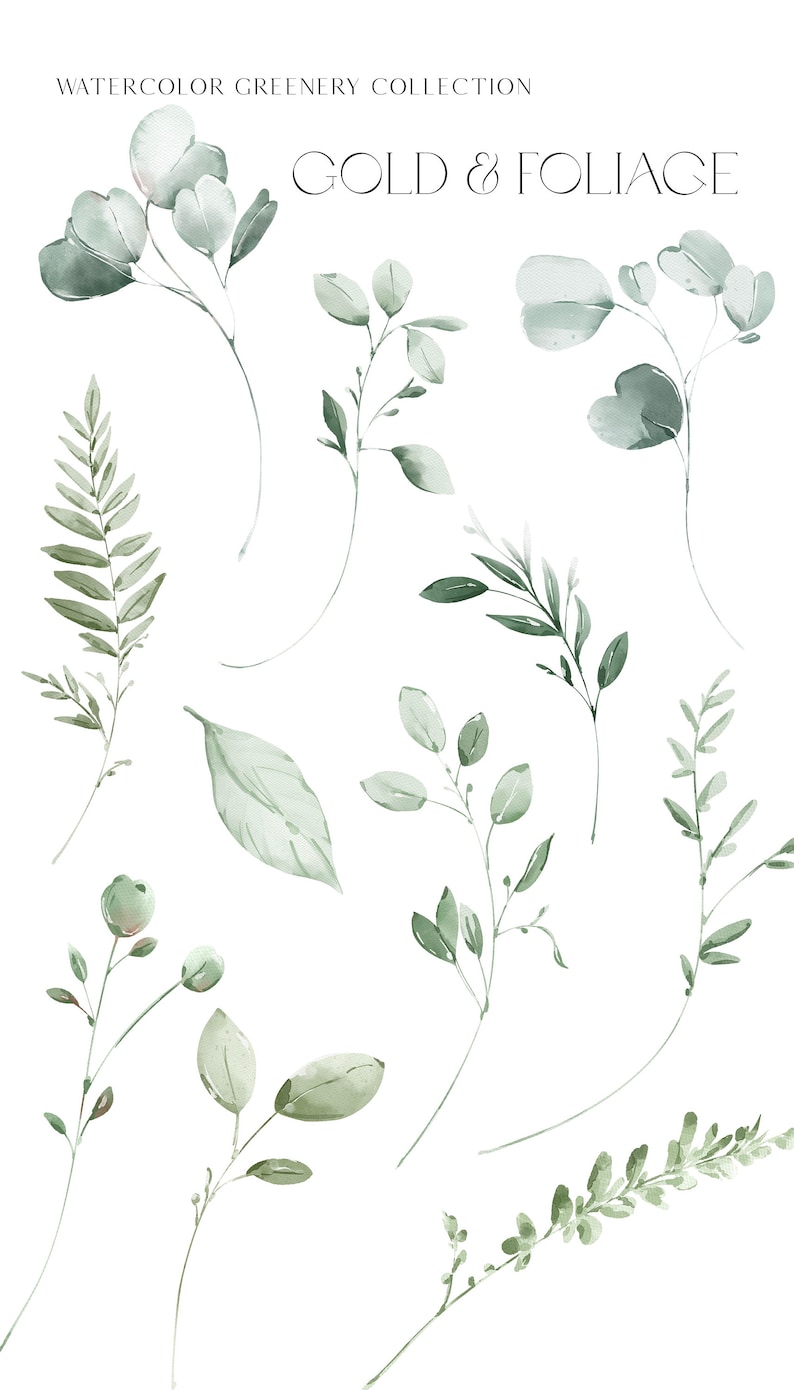 Greenery Watercolor Clipart - Gold & Greenery - Gold Plants - Greenery ...