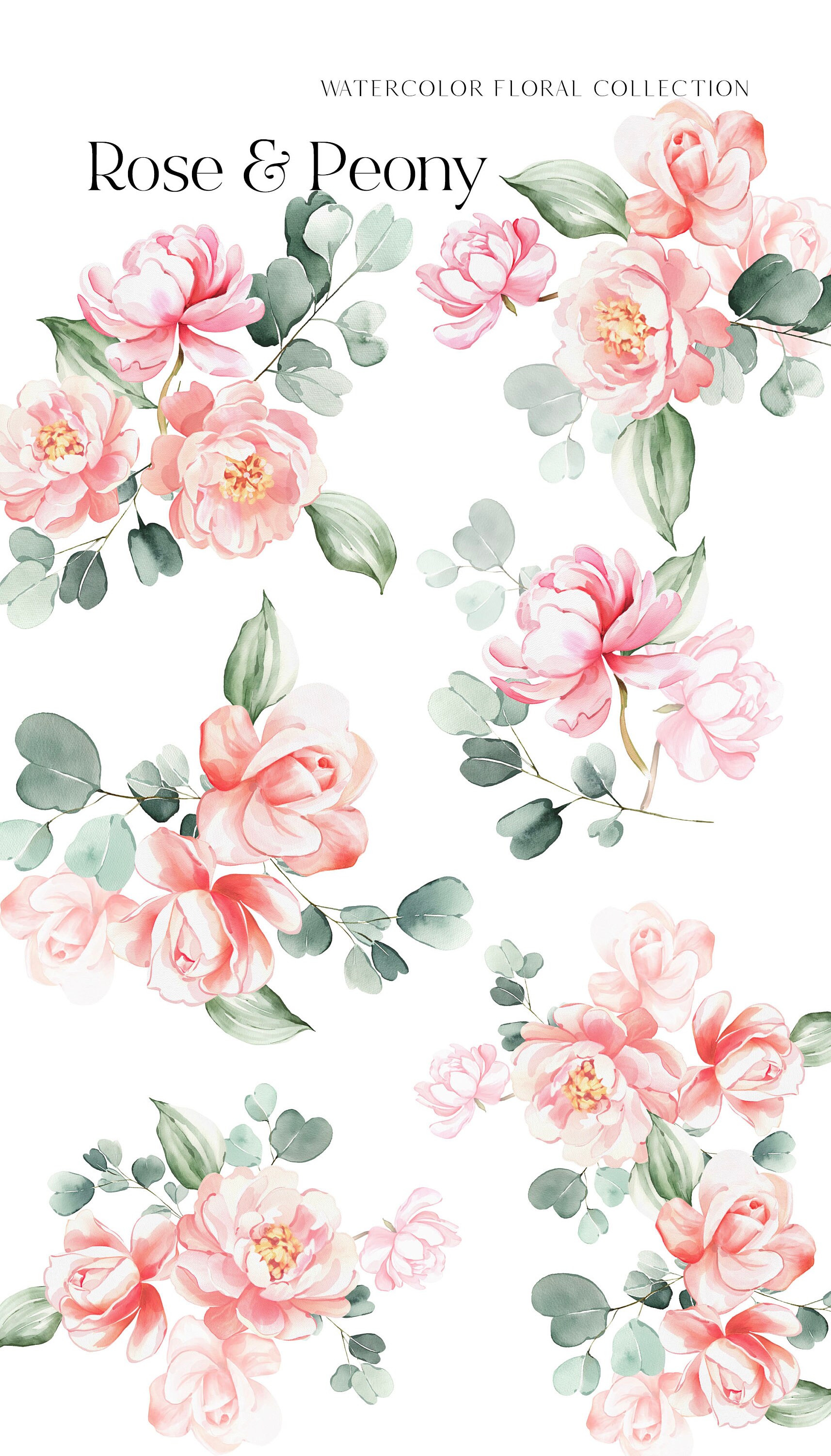 Rose & Peony Clipart - Watercolor Roses - Peony Clipart - Blush Floral ...