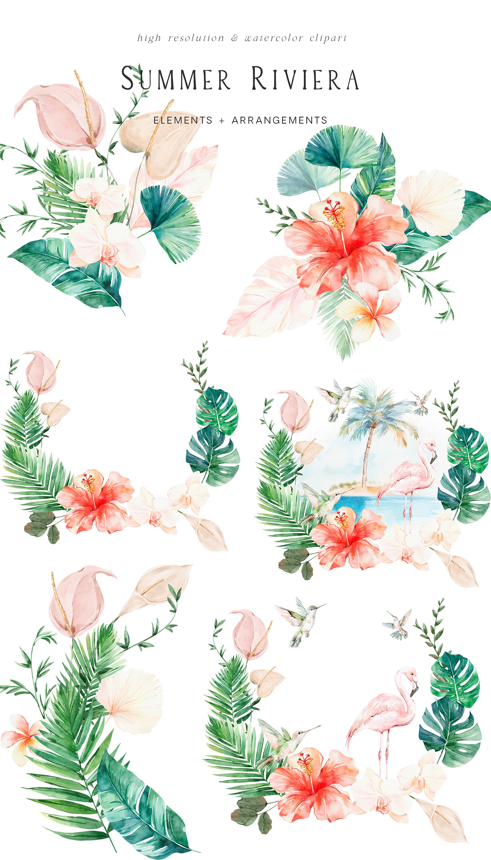 Tropical Summer Clipart Watercolor Summer Clipart Tropical Florals ...