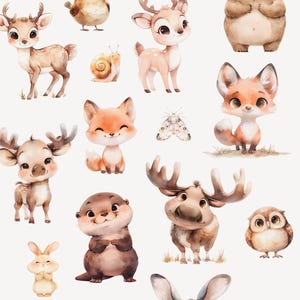 Watercolor Boho Woodland Animals Clipart Collection - Forest Animals ...