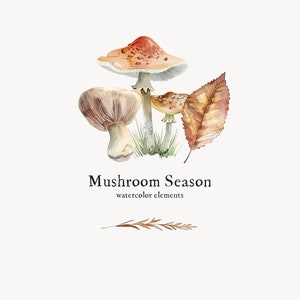 Watercolor Mushrooms Clipart - Wild Mushrooms - Fall Watercolor Clipart ...