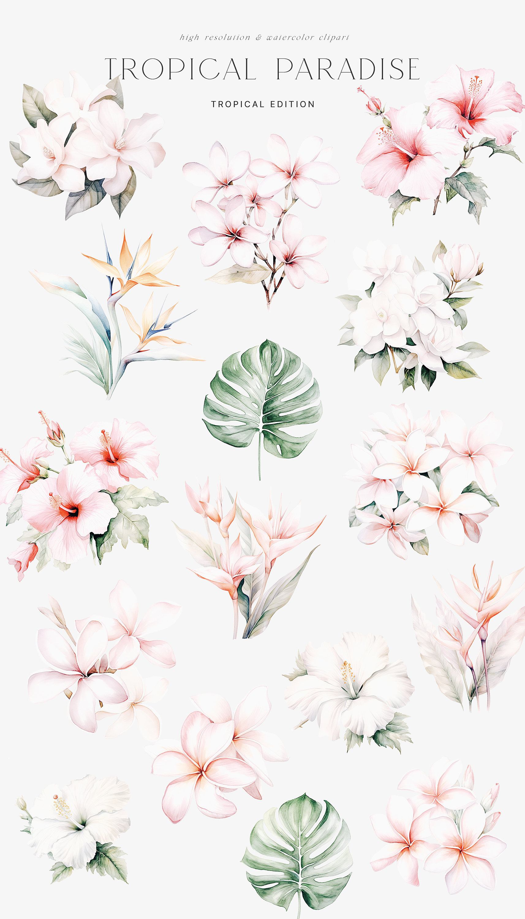 Watercolor Tropical Clipart Tropical Clipart Tropical Floral Clipart ...