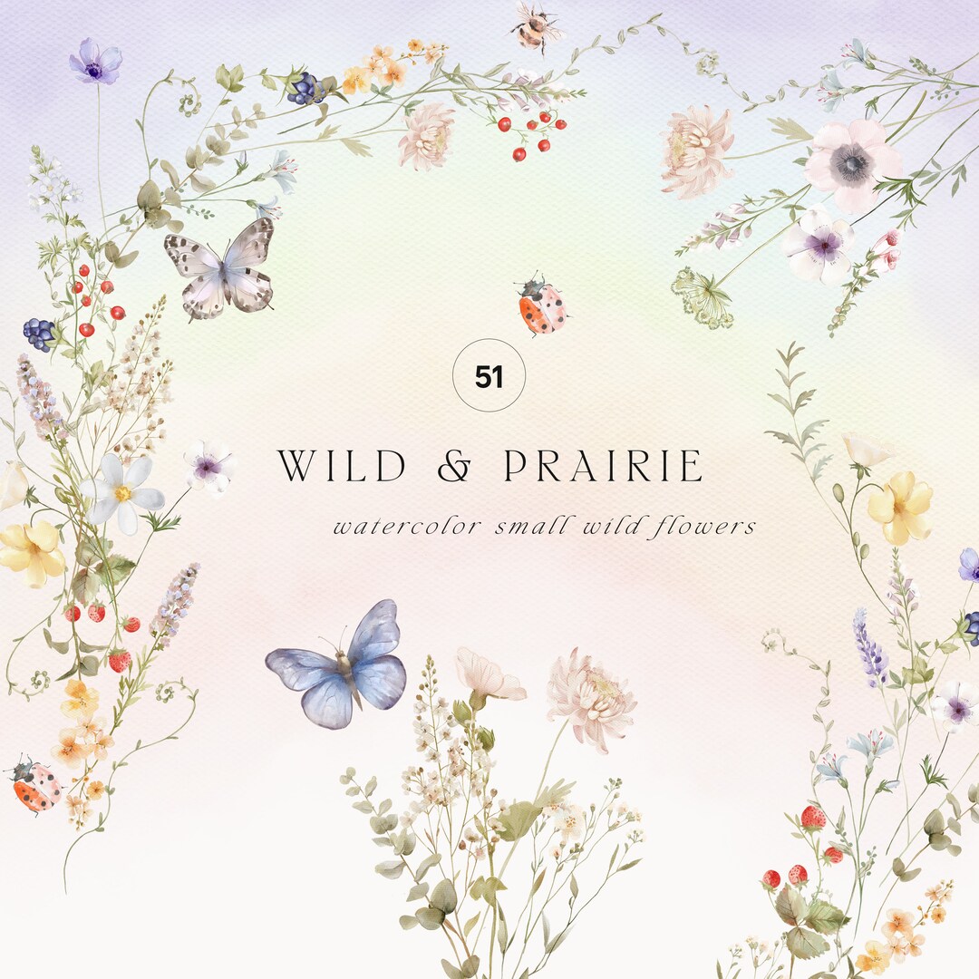 Watercolor Wild Summer Flowers and Berries Collection - Prairie Meadow ...