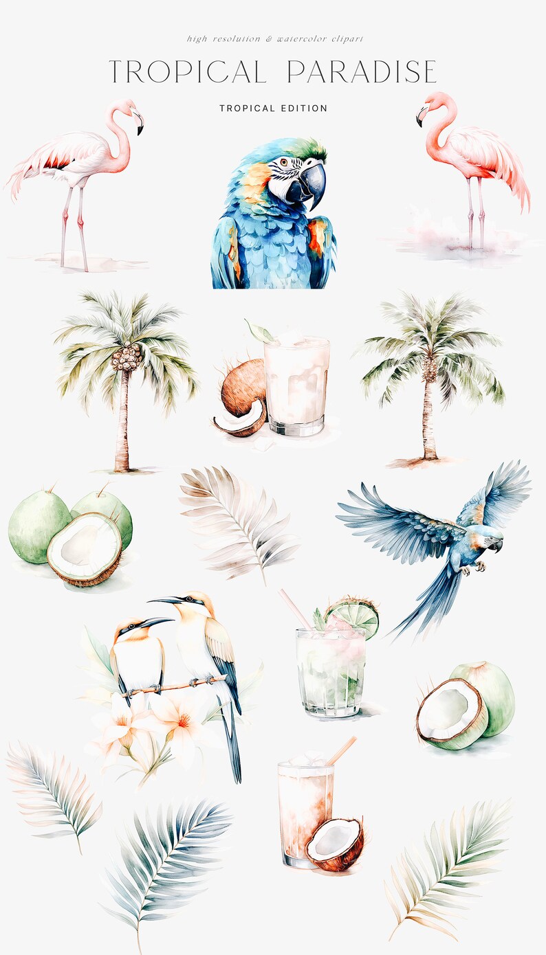 Watercolor Tropical Clipart Tropical Clipart Tropical Floral Clipart ...