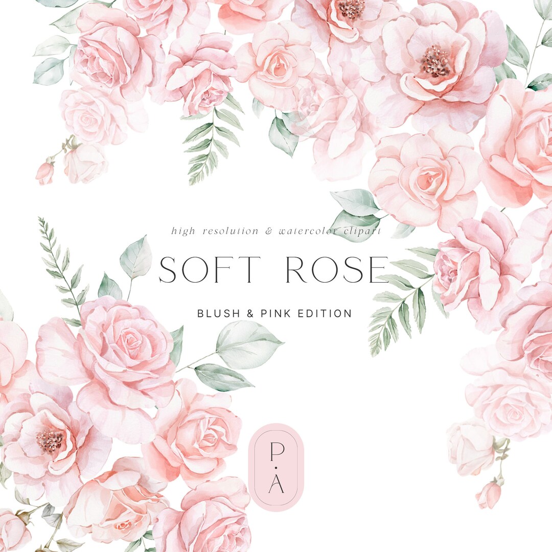 Watercolor Blush Pink Roses - Roses Clipart - Dusty Pink Roses - Floral ...