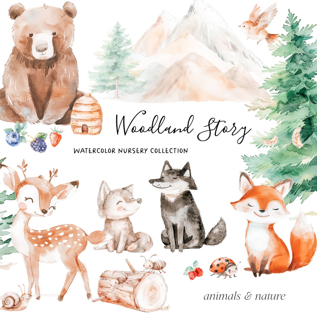 Woodland Watercolor Clipart - Cute Woodlands - Animal Clipart - Nursery ...