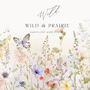 Watercolor Wild Summer Flowers and Berries Collection - Prairie Meadow ...