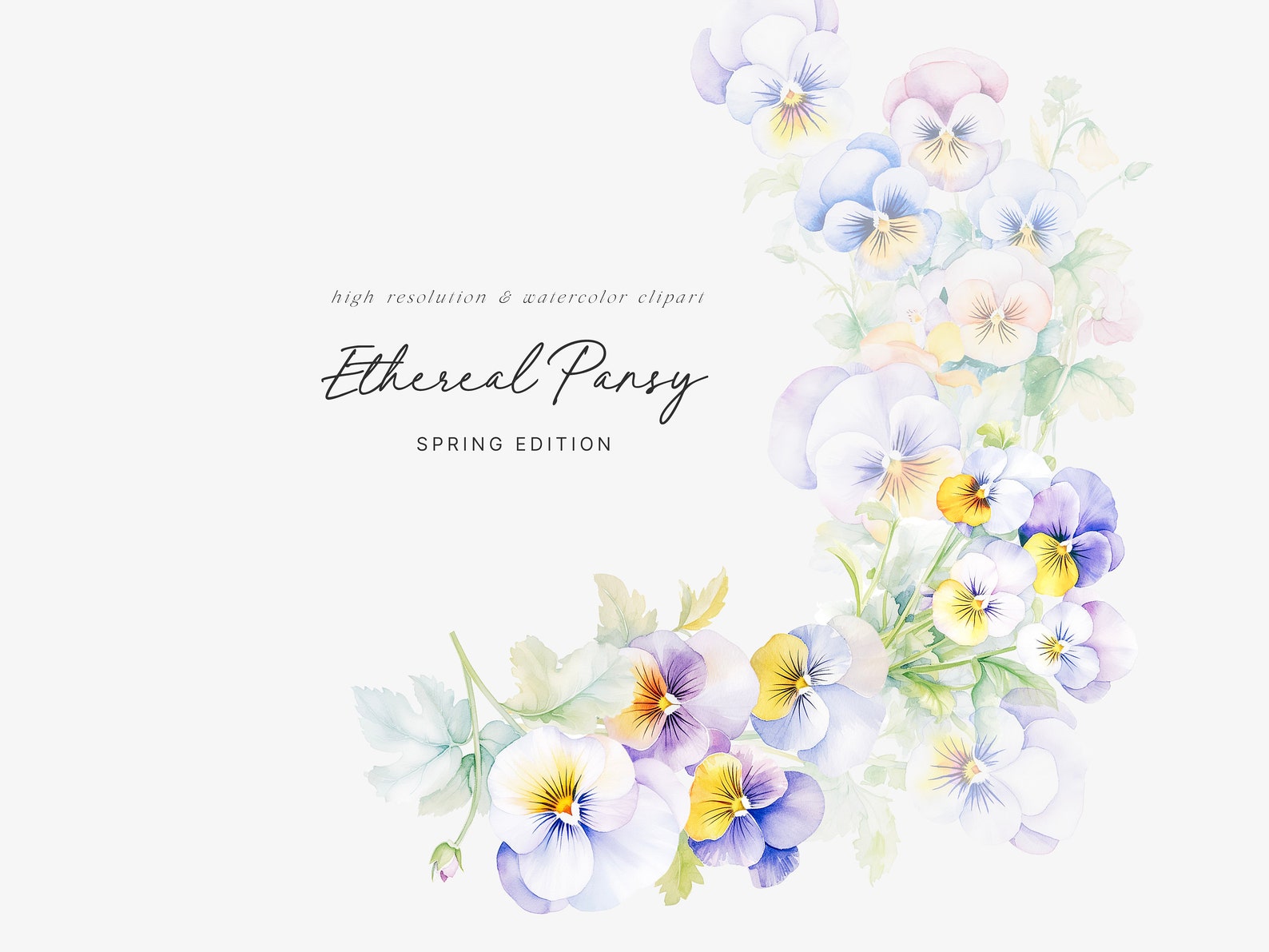 Pansy and Violets Watercolor Clipart Watercolor Pansy Violet Pansy ...