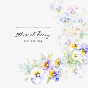 Pansy and Violets Watercolor Clipart - Watercolor Pansy - Violet Pansy ...