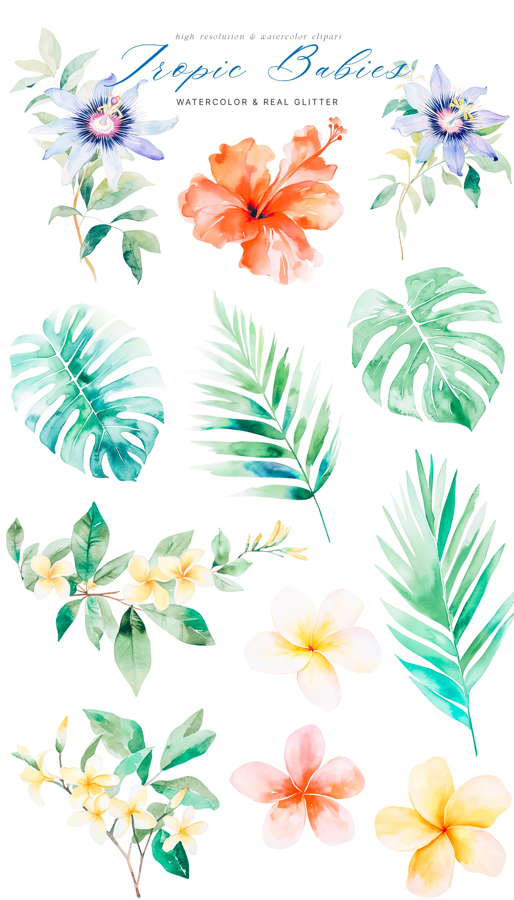 Baby Jungle Animals Watercolor Clipart Nursery Clipart Tropical Clipart ...