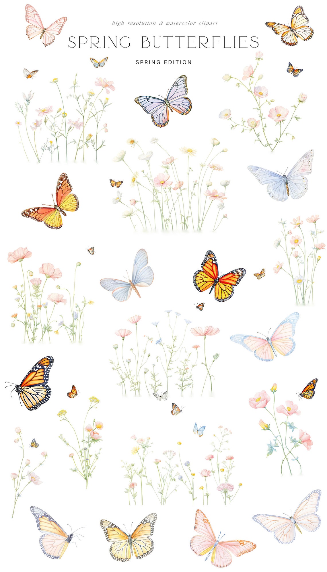 Butterflies Watercolor Clipart - Butterflies Clipart - Scrapbook ...
