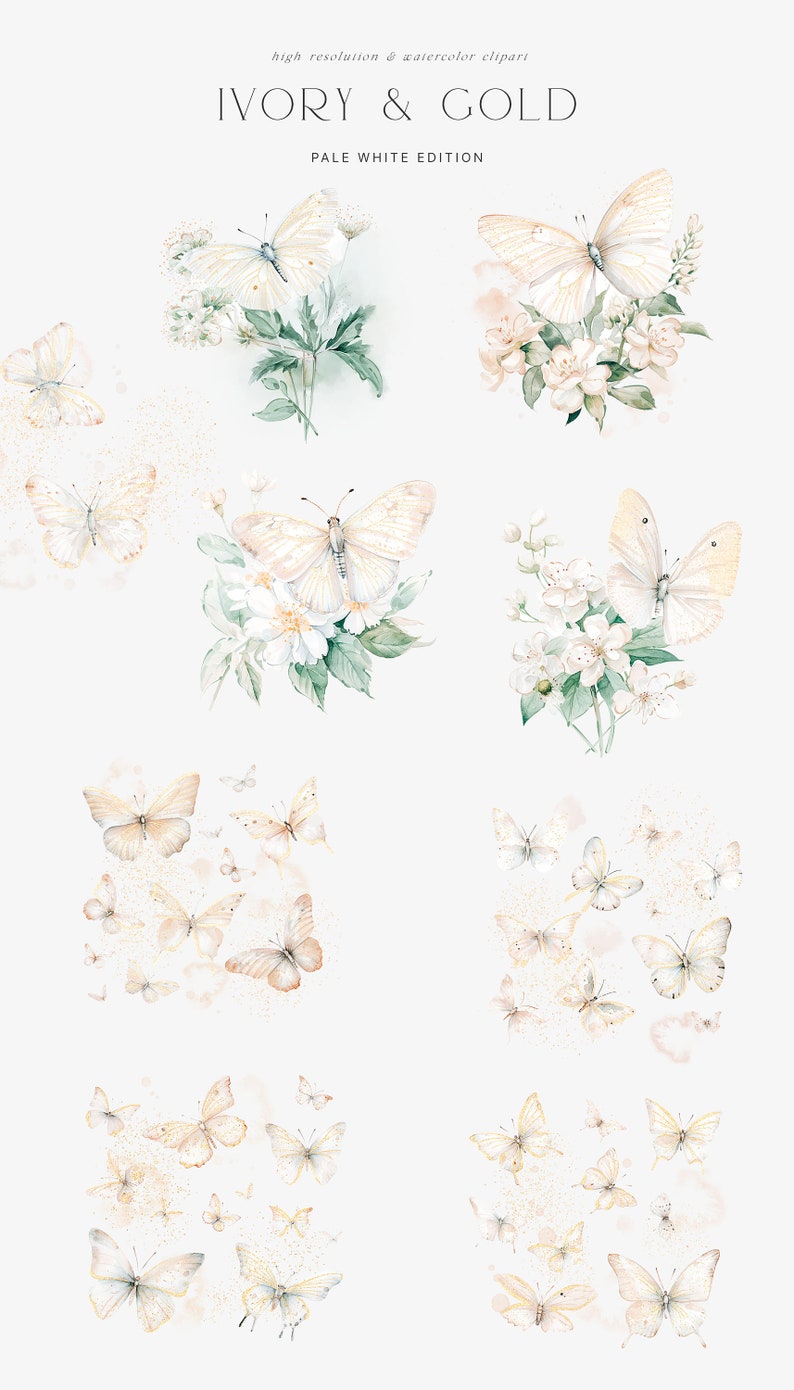 Watercolor Ivory White Gold Butterflies Clipart Stickers Clipart ...