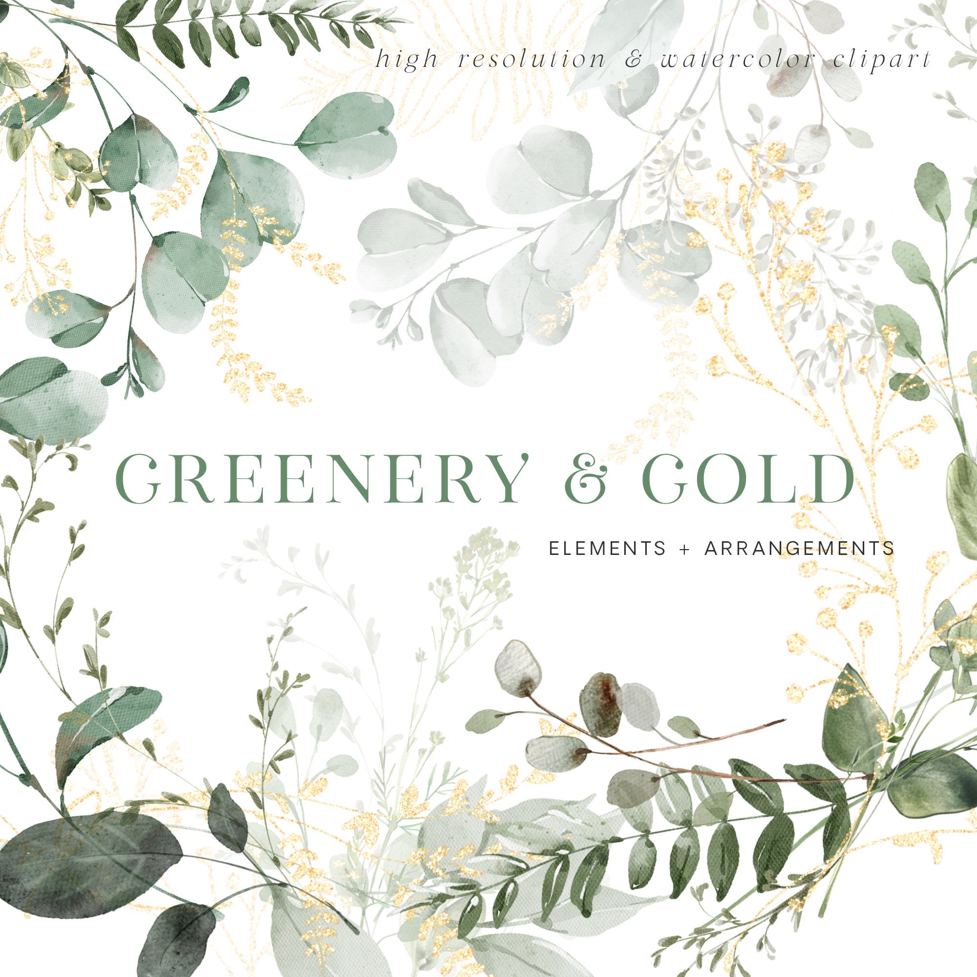 Greenery Watercolor Clipart - Eucalyptus Clipart - Greenery Elements ...