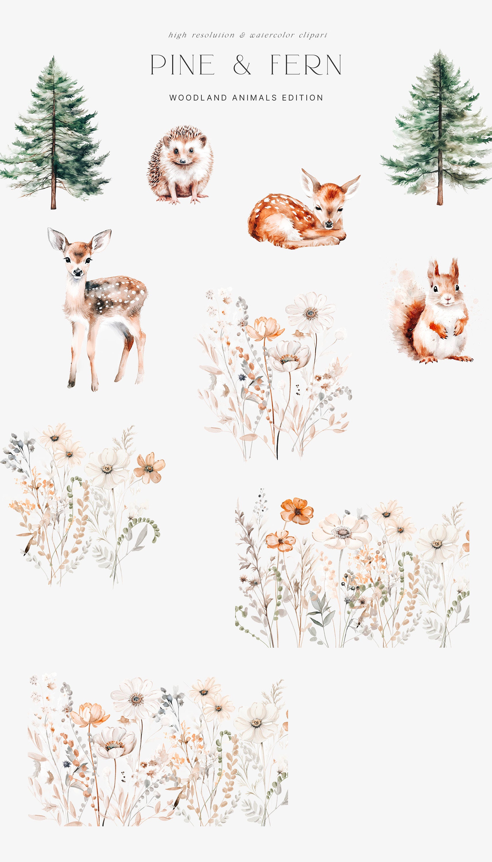 Woodland Animals Clipart Watercolor Woodlands Dreamy Animals Watercolor ...