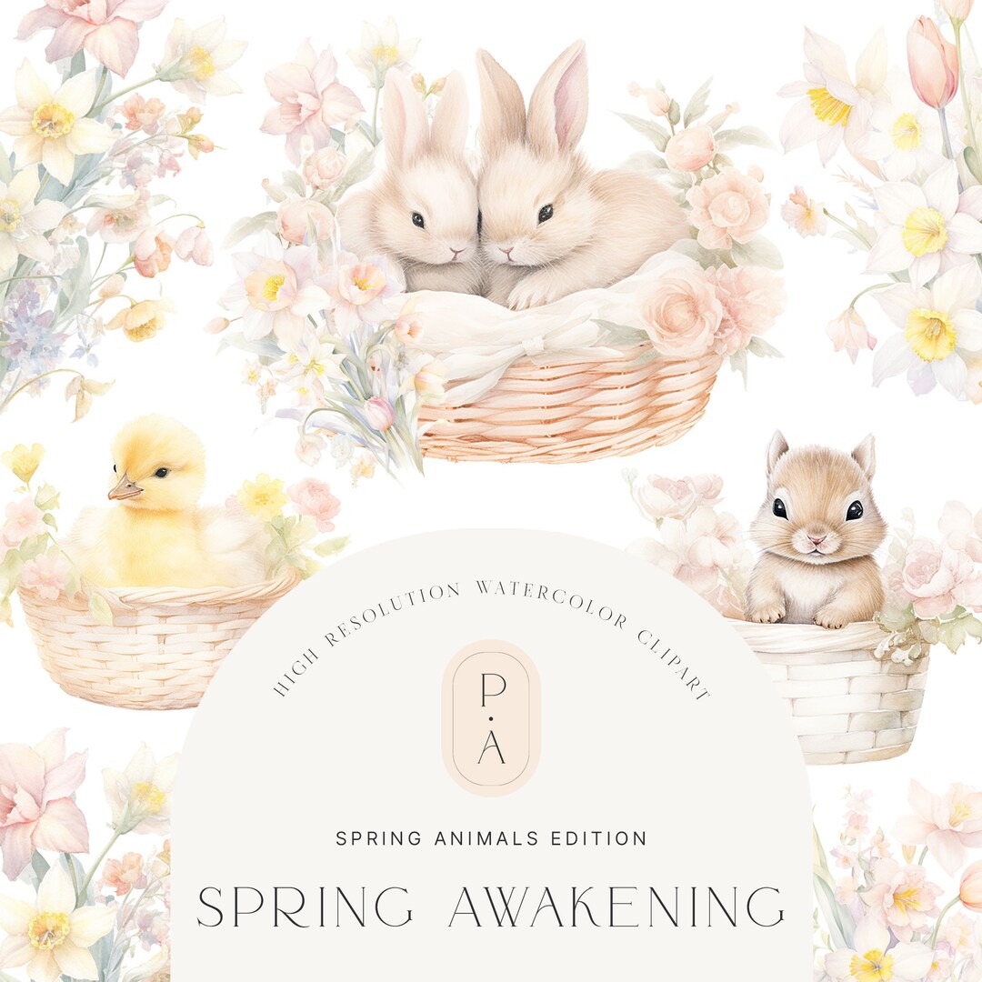 Watercolor Spring Baby Animals Clipart - Spring Florals - Watercolor ...