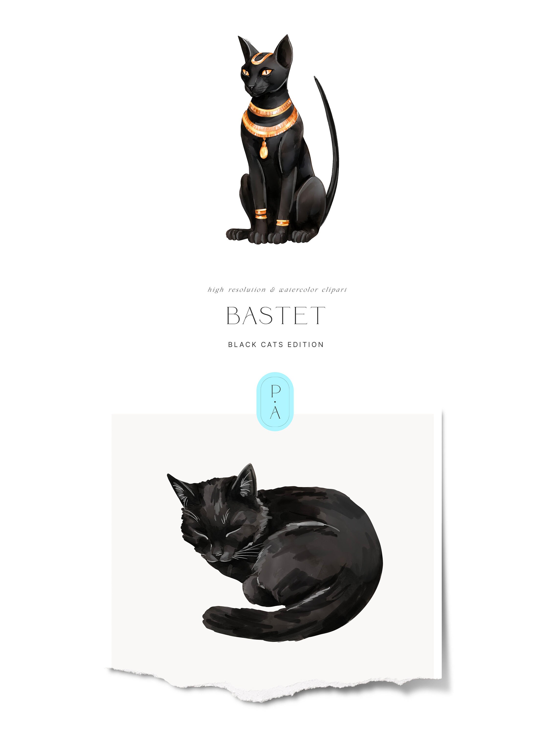 Black Cats Clipart Set Watercolor Black Cats Watercolor Cats Cats ...