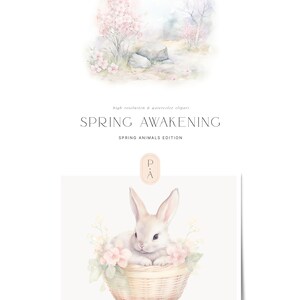 Watercolor Spring Baby Animals Clipart - Spring Florals - Watercolor ...