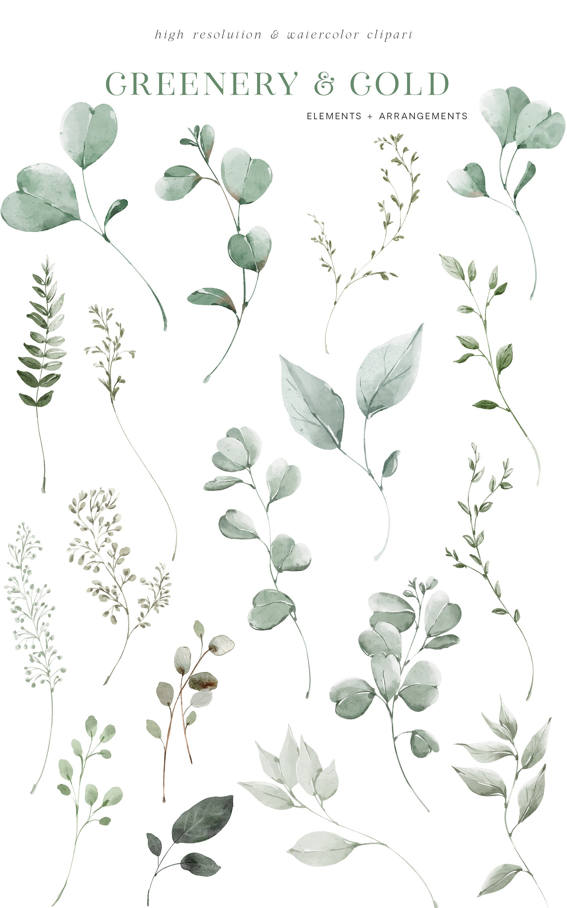 Greenery Watercolor Clipart - Eucalyptus Clipart - Greenery Elements ...