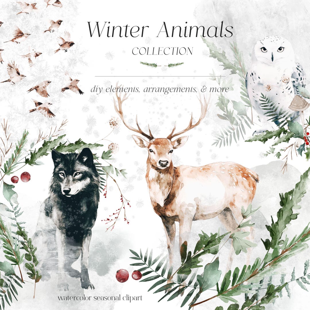 Winter & Snow Animals Clipart - Winter Clipart - Winter Greenery ...