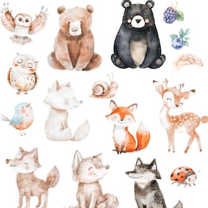 Woodland Watercolor Clipart - Cute Woodlands - Animal Clipart - Nursery ...