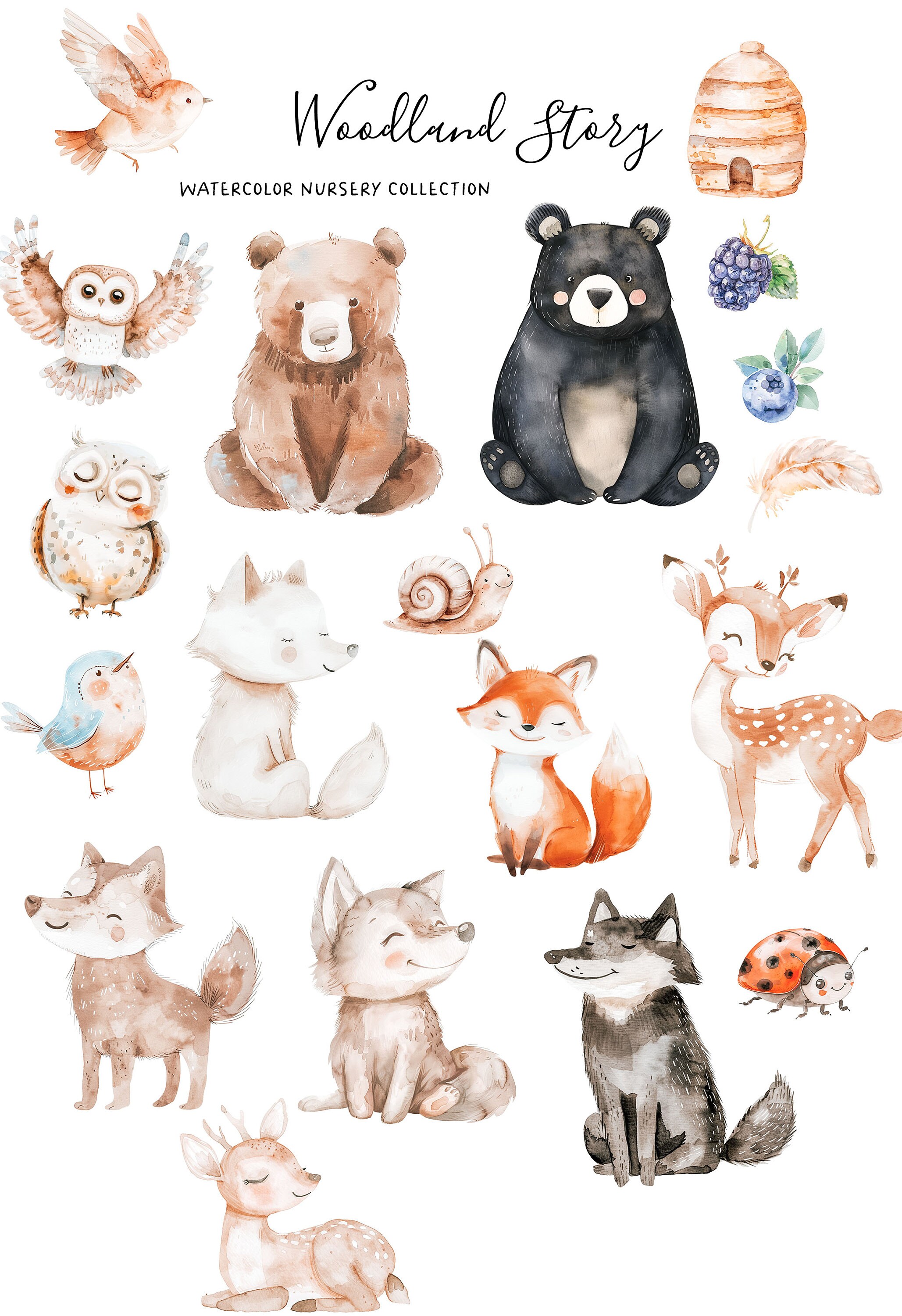 Woodland Watercolor Clipart - Cute Woodlands - Animal Clipart - Nursery ...