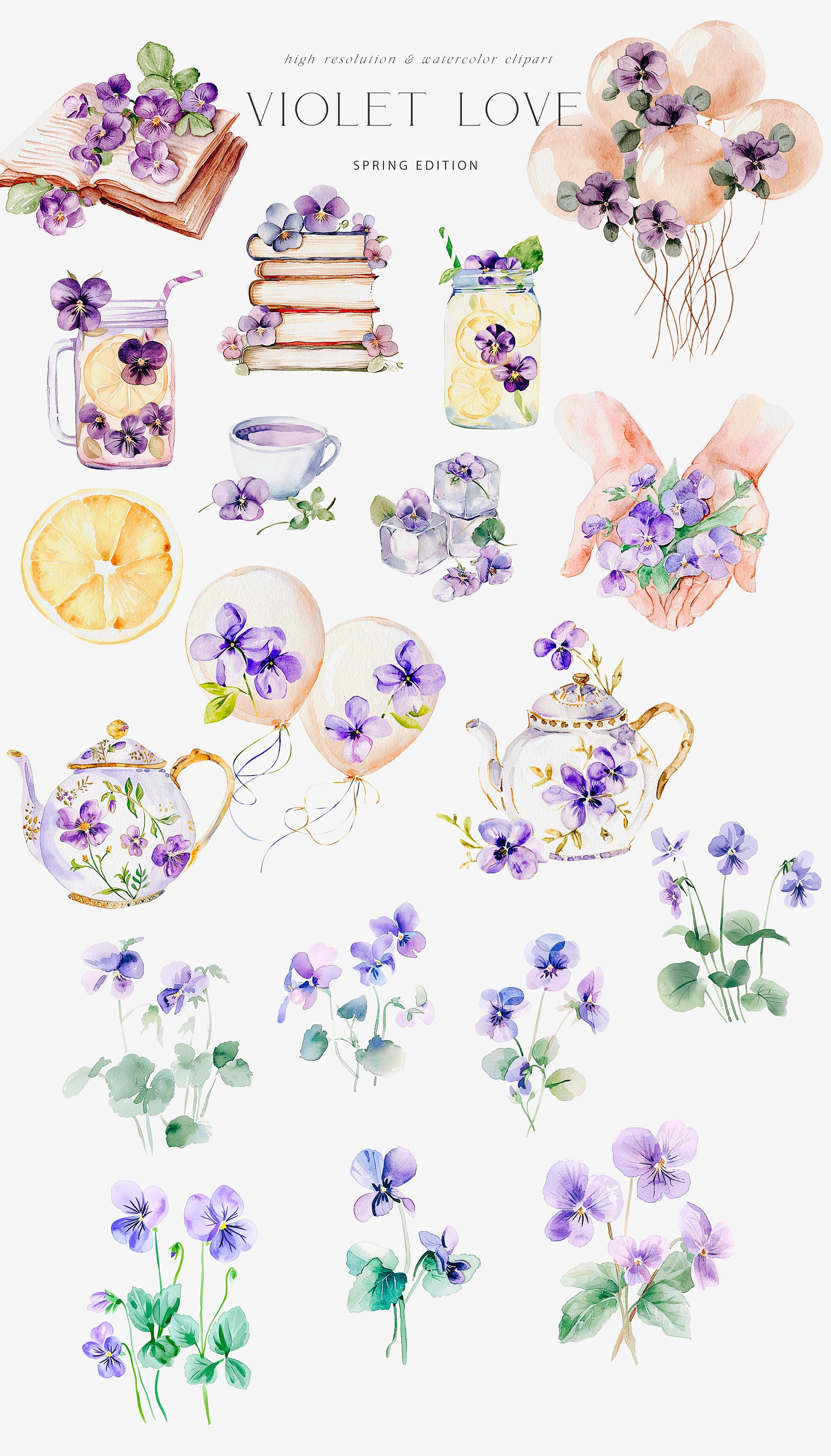 Violet Spring Watercolor Clipart Watercolor Violets Violet Flowers ...