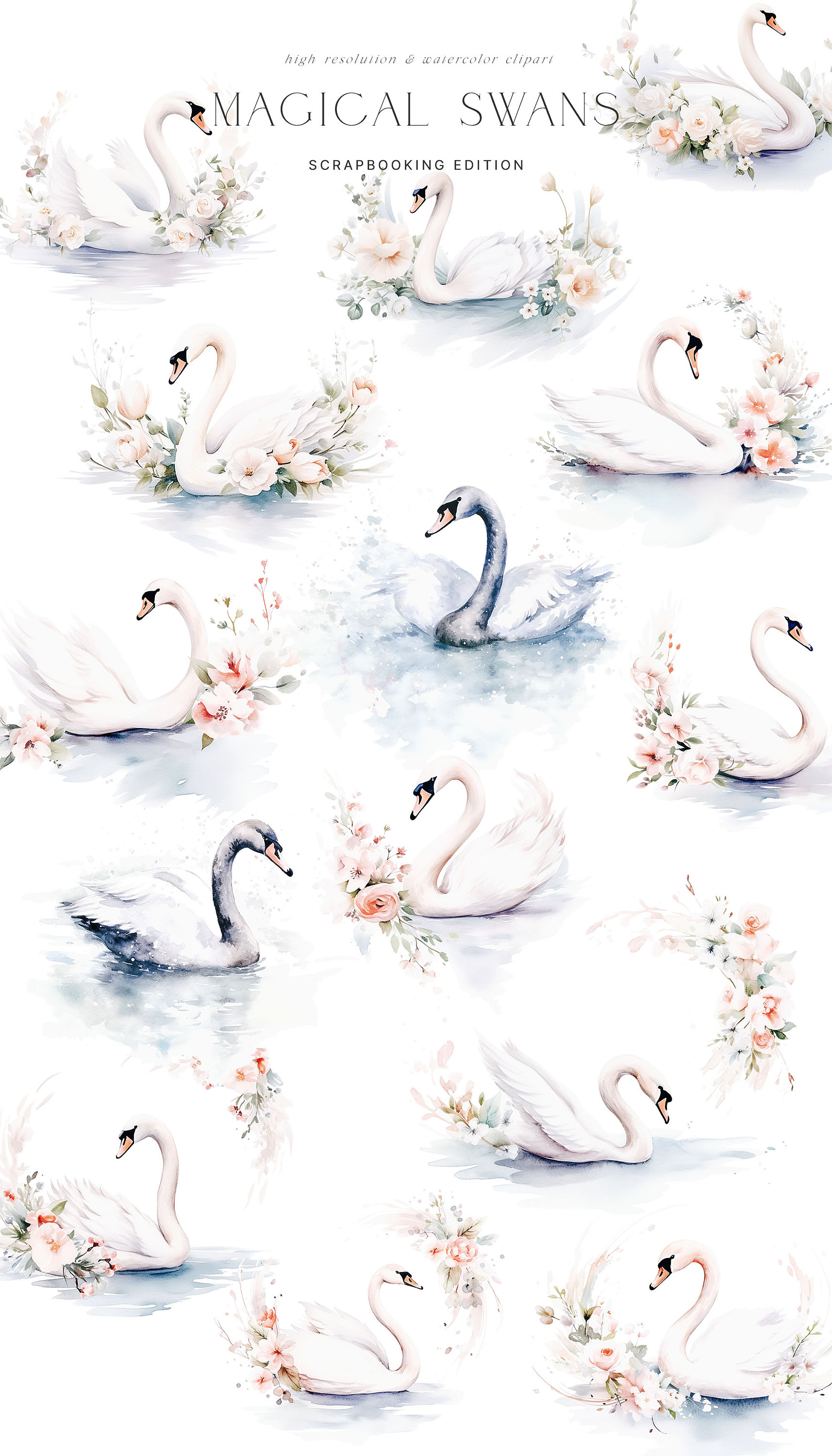 Watercolor Swans Clipart - Swans Clipart - Swans Floral Clipart ...