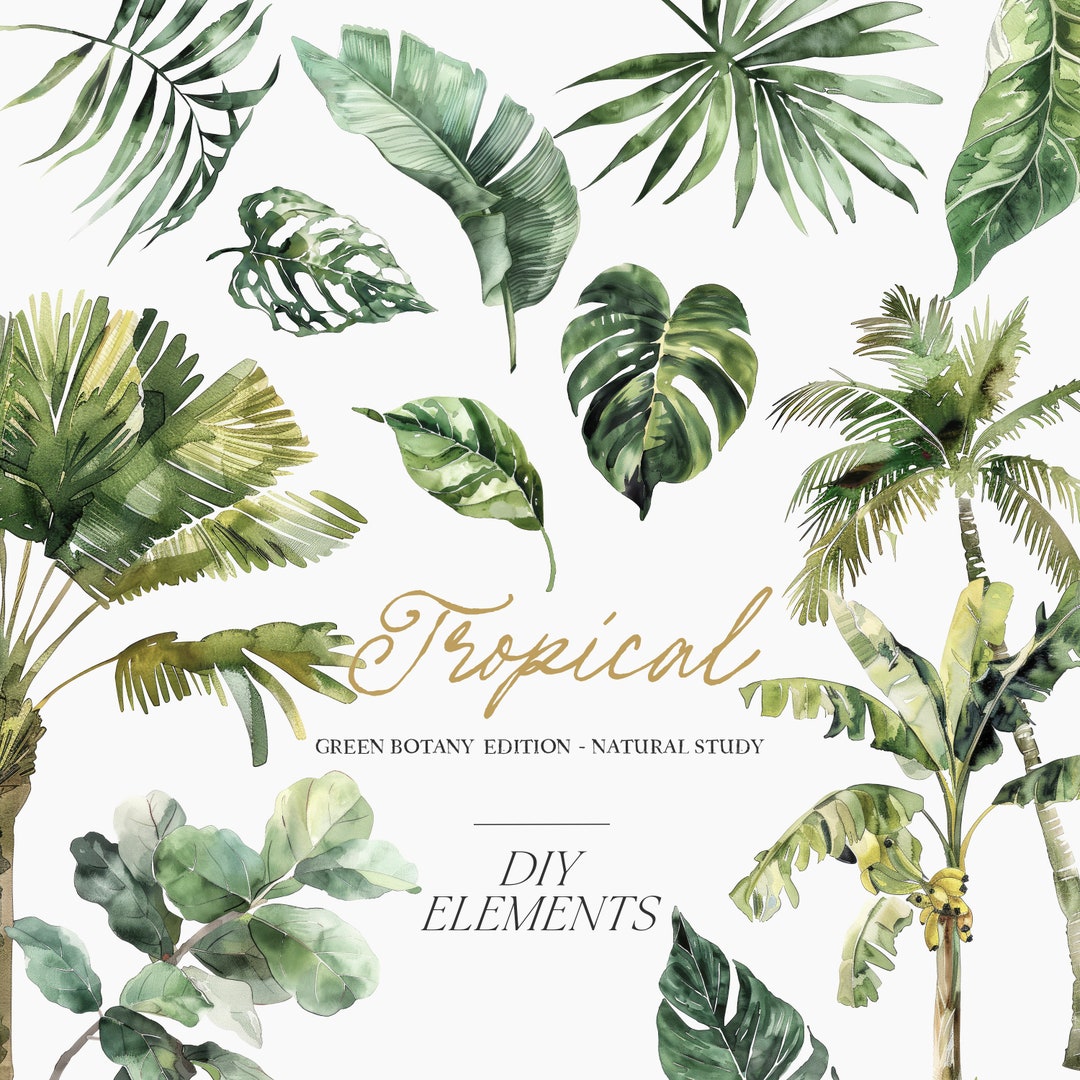 Watercolor Tropical Greenery Clipart - Watercolor Palms - Watercolor ...