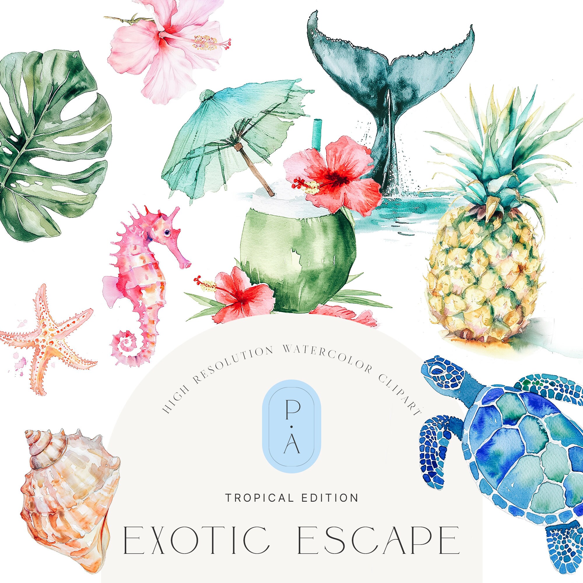 Tropical Watercolor Clipart Tropical Sea Clipart Under the Sea Marine ...