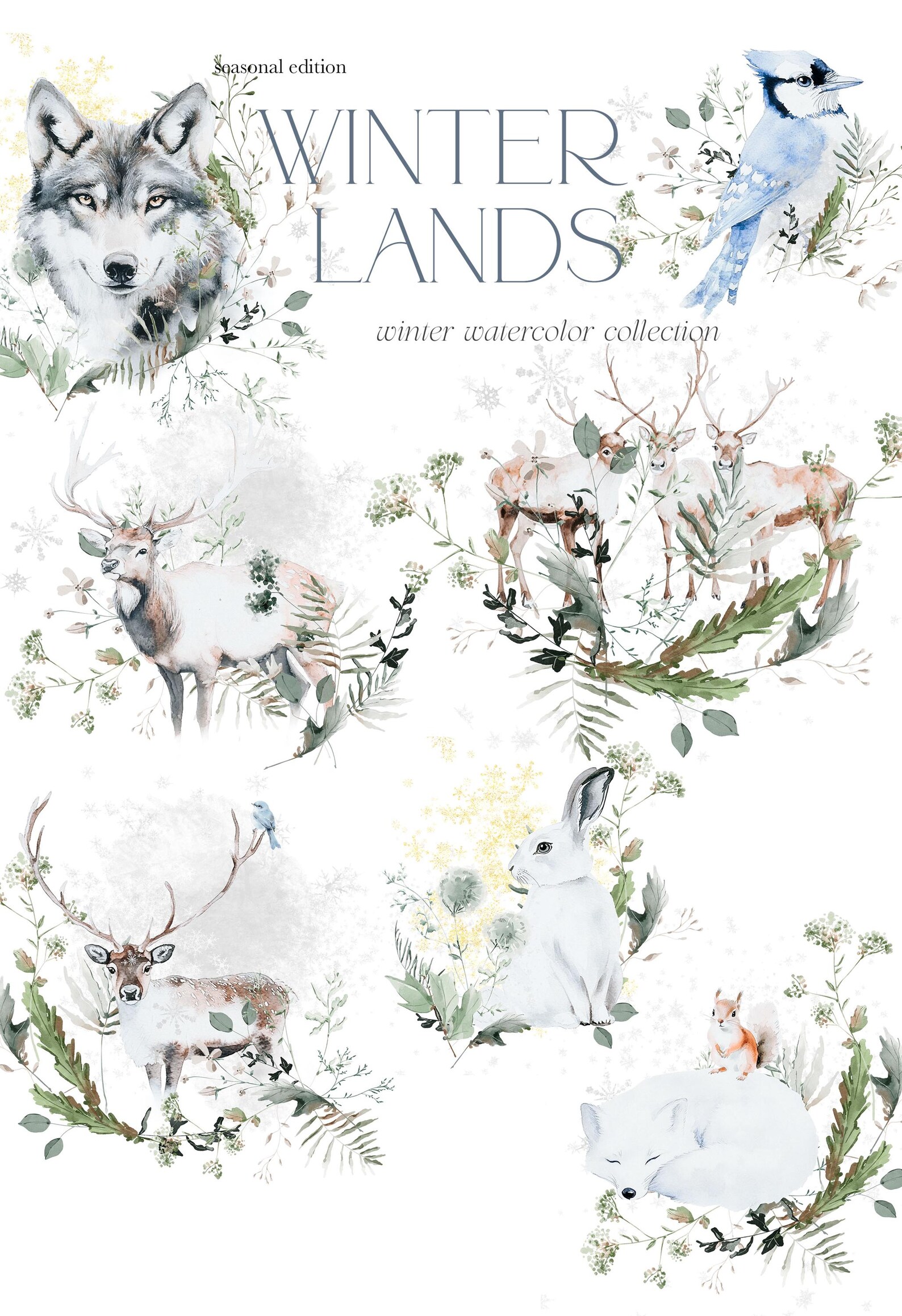 Winter Animals Clipart - Winter Collection - Plant Clipart ...