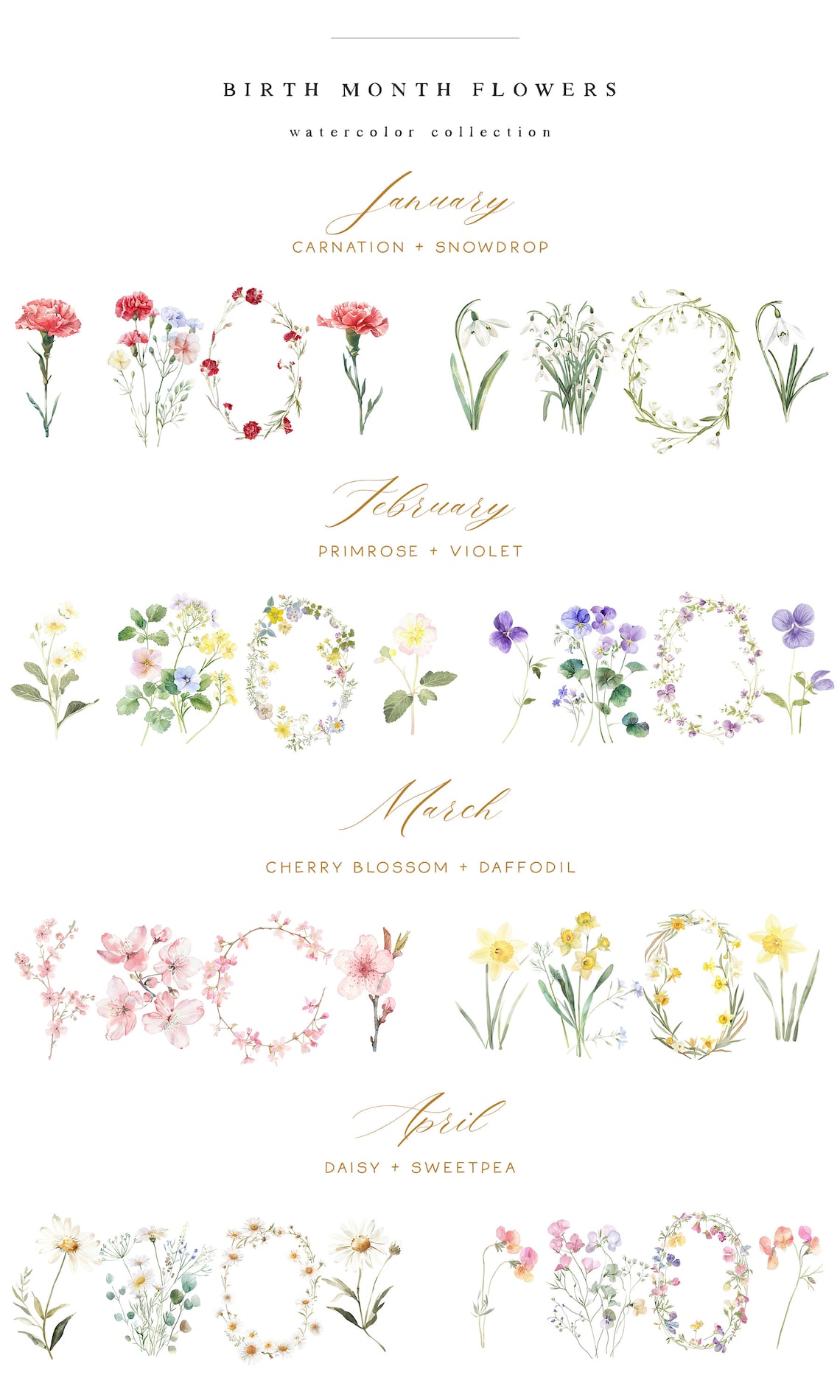 Birth Month Flowers Collection - Watercolor Birth Flowers Clipart Set ...